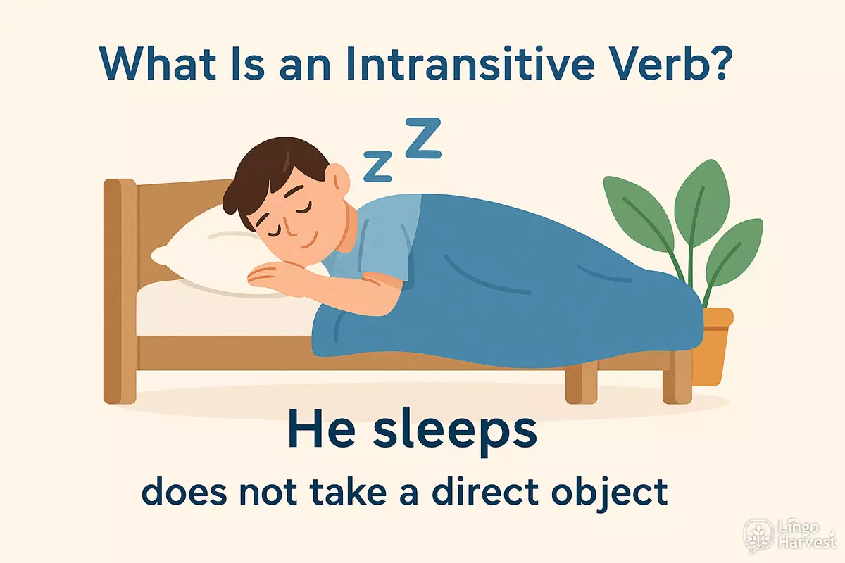 Transitive and Intransitive Verbs: Simple Guide for Beginners