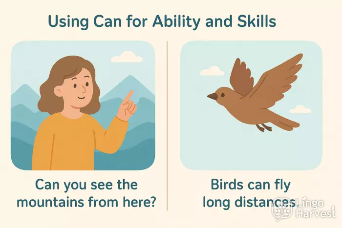 Using Can for Ability: Grammar and Everyday Examples