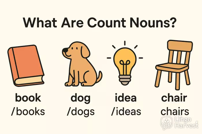 much vs many: Countable vs Uncountable Made Simple