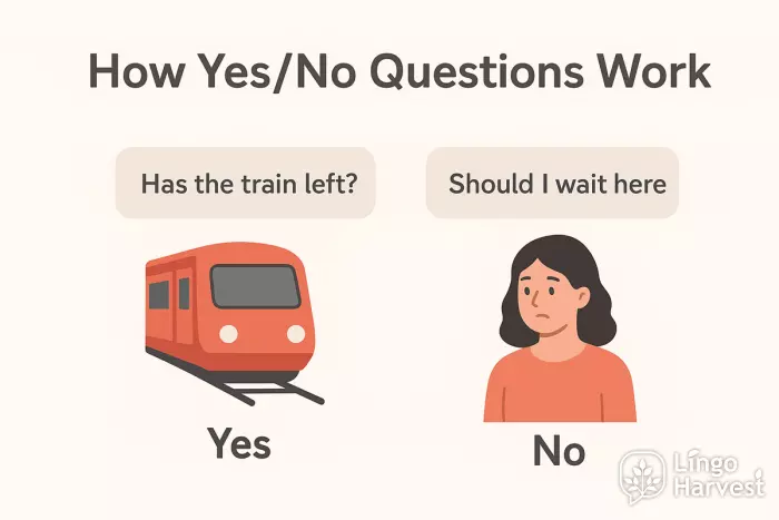 Yes/No Questions in English: Grammar for Beginners