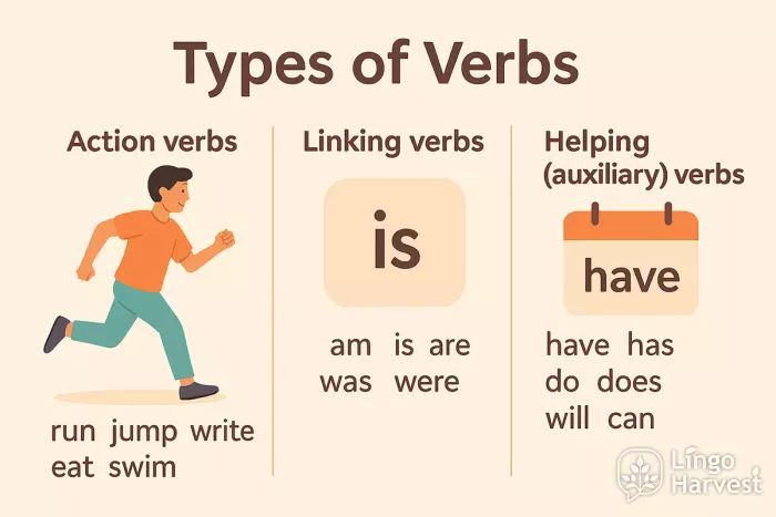 Verbs for Beginners: Forms, Meaning, and Basic Use