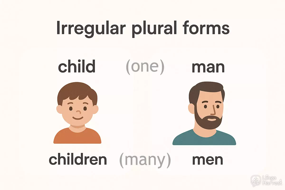 Common English Noun Errors and How to Fix Them