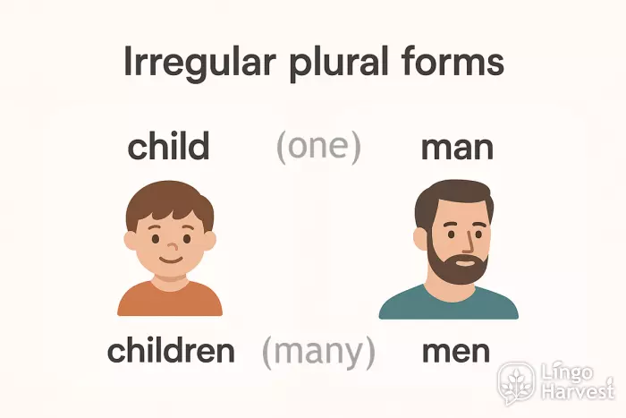 Common English Noun Errors and How to Fix Them