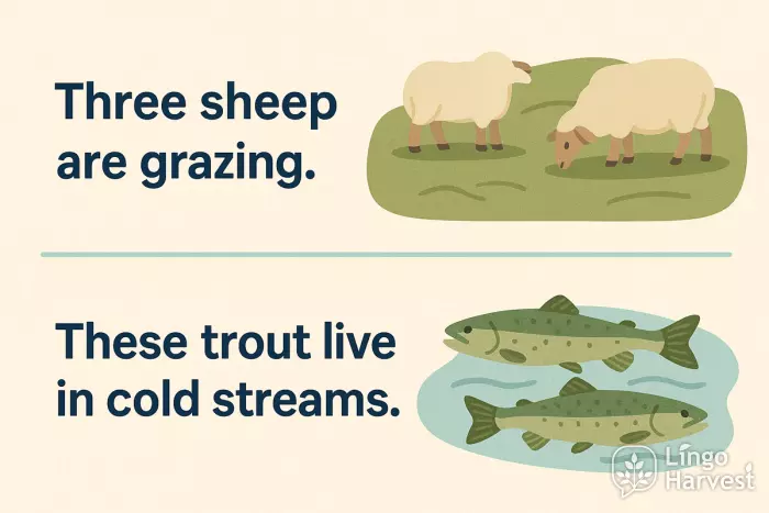 Zero Plural Nouns in English: Forms and Usage