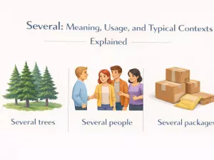 Several in English: Meaning, Usage, and Common Contexts