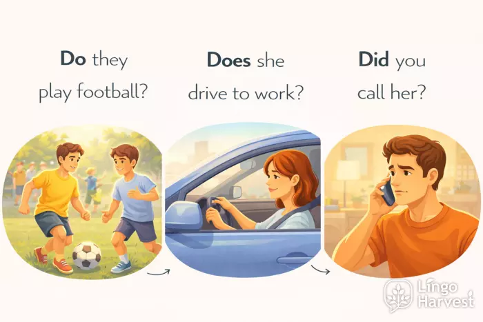 Do/Does/Did in Questions: Fast Guide with Common Patterns